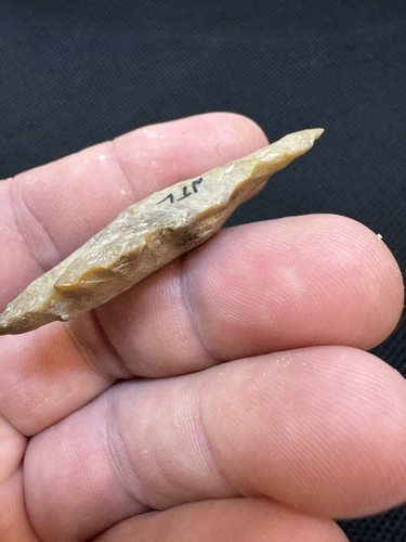 Ancient Authentic Gary Arrowhead From South Mississippi | eBay