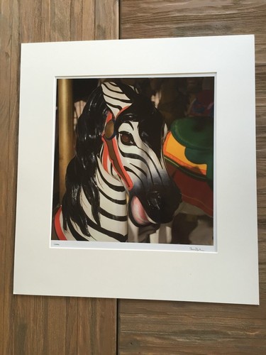 "BRUCE BLUM SIGNIERTER FARBE Fotodruck (16"" x 20") - ""Zebra" | eBay