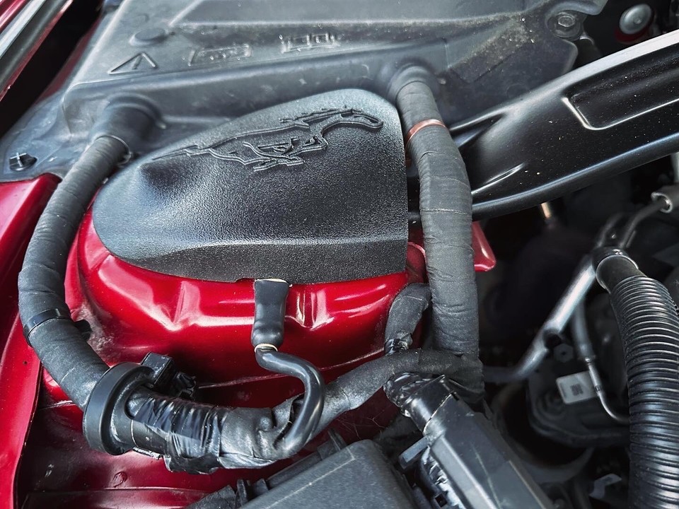 2015-2024 Ford Mustang Custom Fitted Strut Tower Covers (California ...