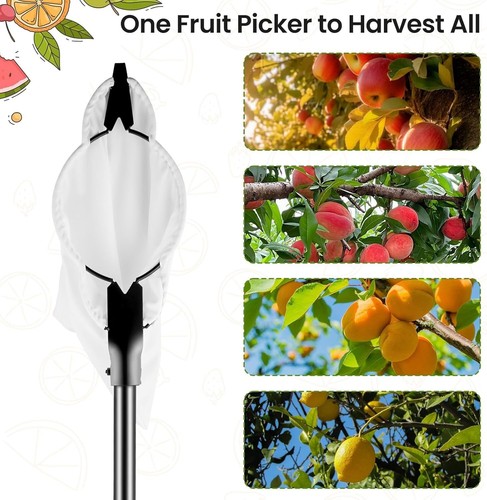 Fruit Picker Pole Tool with Fabric Basket Telescoping - Adjustable Mango Picker | eBay