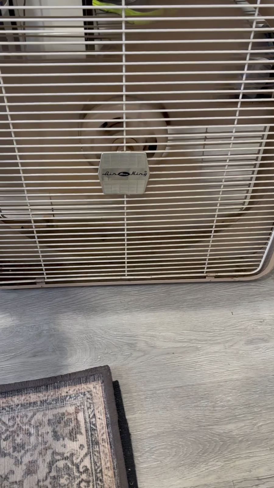 Vintage Berns Air King Fan 3 Speed Steel Box Fan 22" Chicago Illinois ...