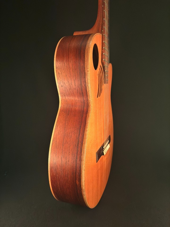 2001 Jamon Zeiler "California Condor" Acoustic "Electric" Nylon String ...