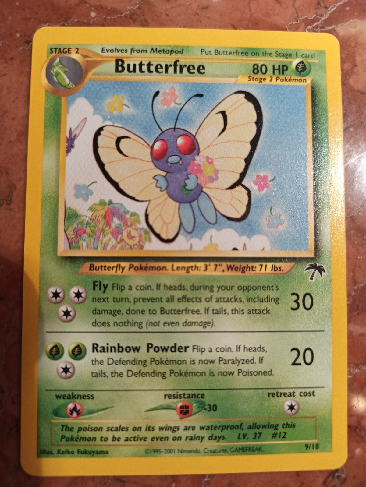 Pokemon Card Butterfree 9/18 | eBay