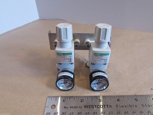 Lot Set 2 CKD RB500-LLC4-L Pressure Regulator w/ Gauge Pneumatic Air ...