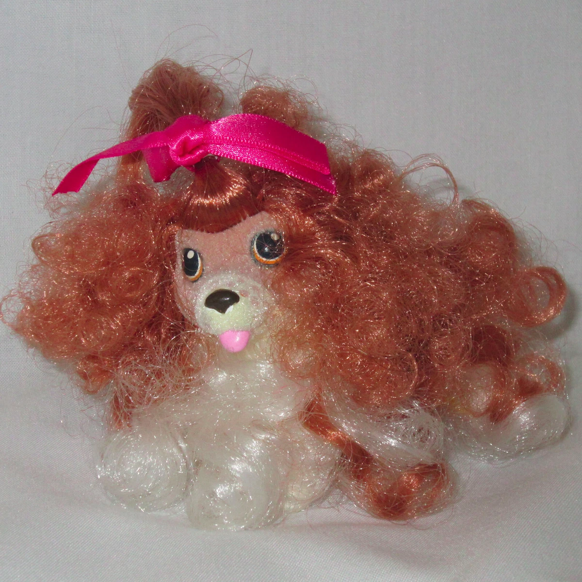 Baby Springer Spaniel