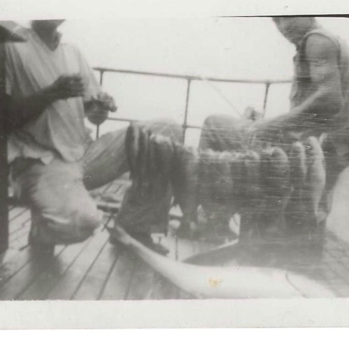 Vintage Snapshot Photo Muscular Men on Boat Head Out of Frame Fishing ...