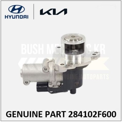 GENUINE OEM Hyundai Kia EGR Valve with Gasket 284102F600 Sedona Optima ...