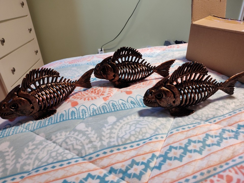 LOT OF THREE BONE FISH 161303 | eBay