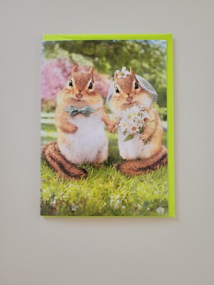 Avanti Greeting Card Congratulations Wedding Squirrels NUTS about each ...