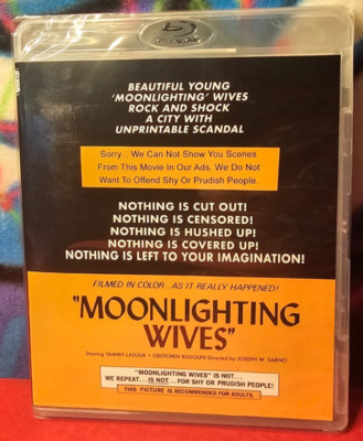 Moonlighting Wives (Blu-ray, 1966) Tammy Latour, Gretchen Rudolph ...