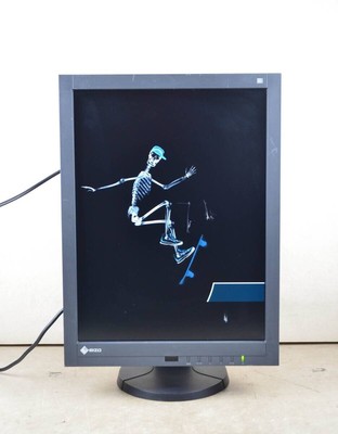 Used EIZO High Definition Monitor RadiForce RX240 21.3 type Brightness ...