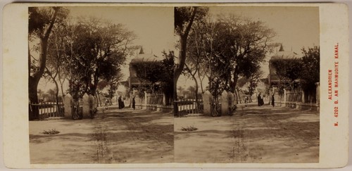 EGYPTE Alexandrie Mahmoudiyah Canal Photo Alois Beer Stereo Vintage ...