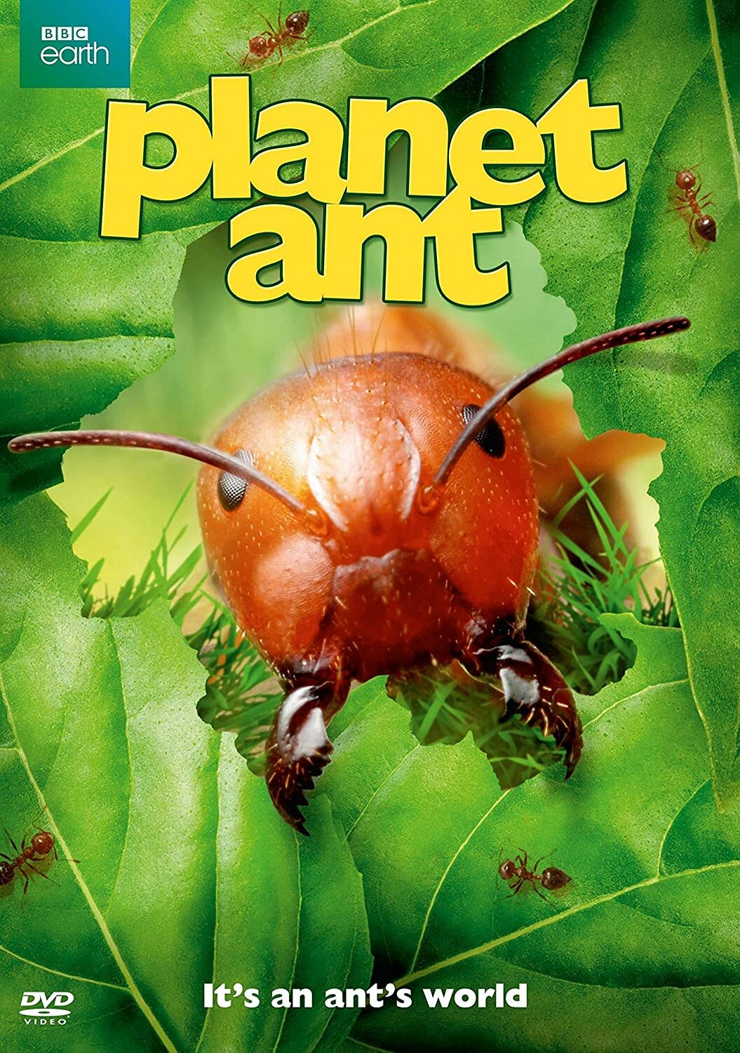 DVD - Documentary - Planet Ant: It's An Ant's World - BBC Earth ...