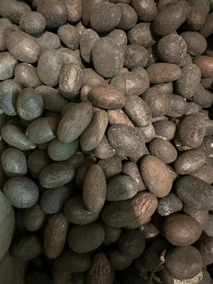 Bitter Kola nuts. .African OROGBO ( 250g) Very Fresh. Big Sizes | eBay UK