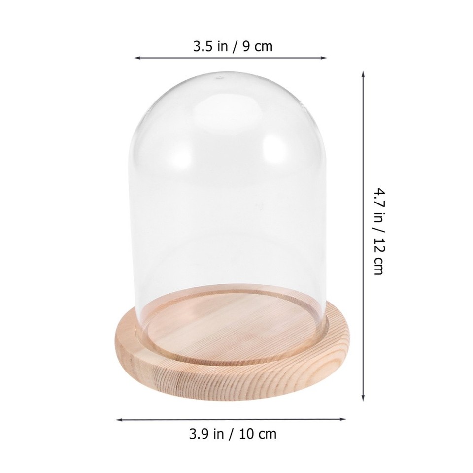 Transparent Flower Glass Dome Cover With Wooden Base 9x12 cm For ...