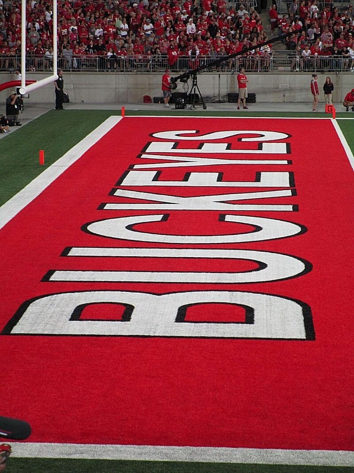 Ohio State Buckeyes Game Used End Zone Turf from Ohio Football Stadium ...