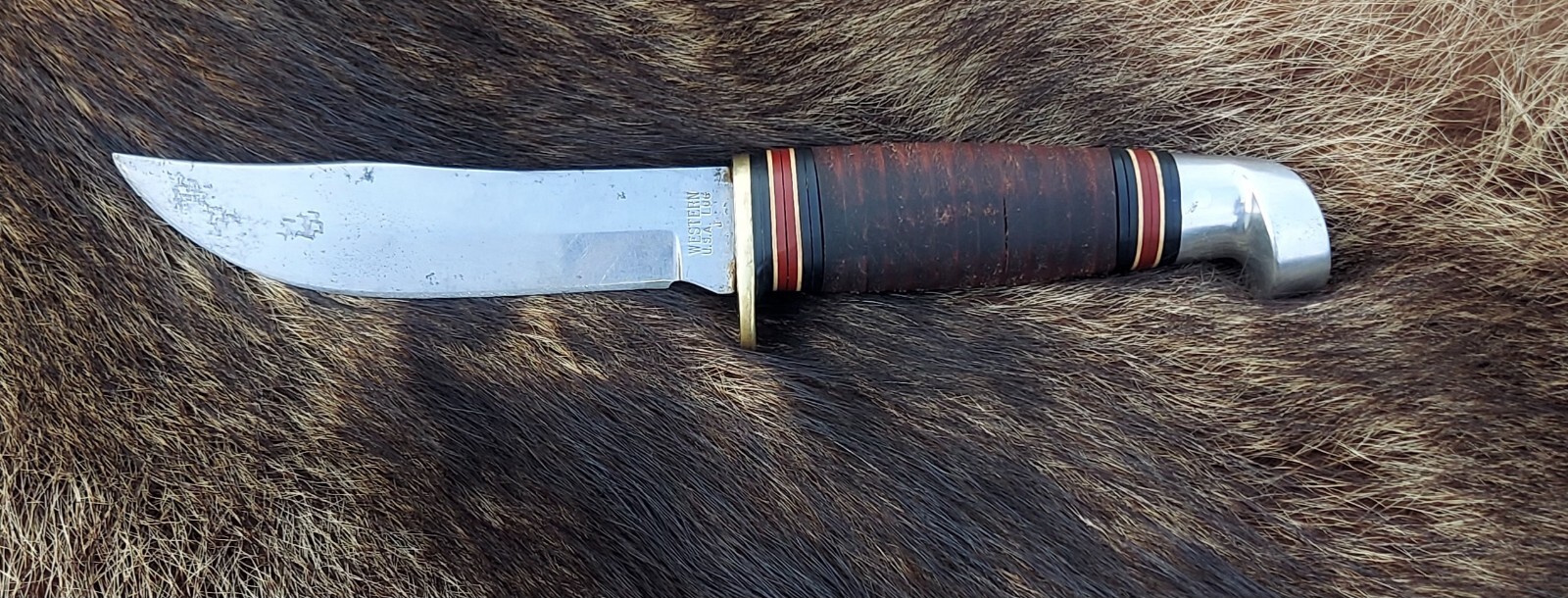 1986 RARE WESTERN L66 J USA Vtg SKINNING HUNTING KNIFE FIXED BLADE ...