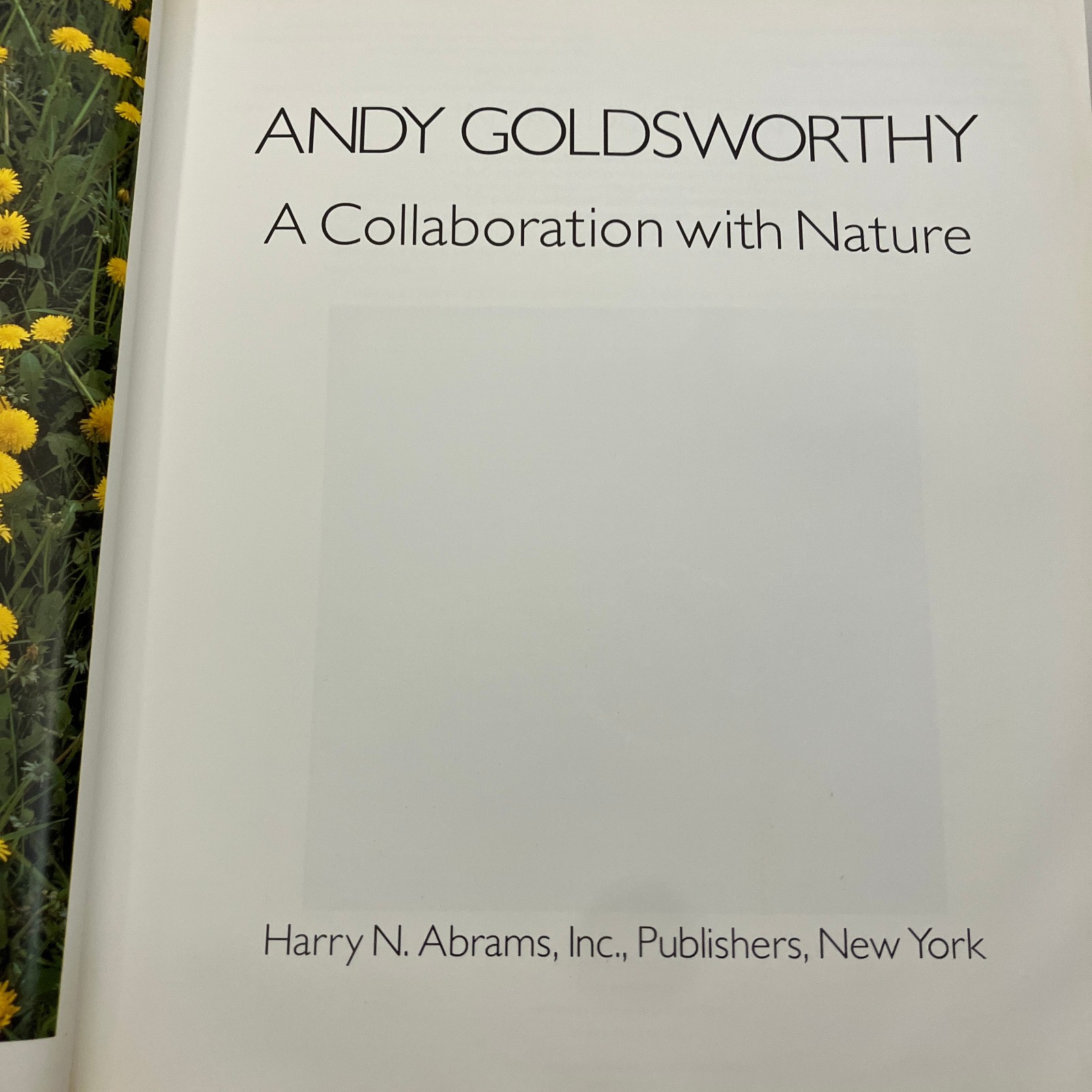 Andy Goldsworthy : A Collaboration with Nature by Andy Goldsworthy ...