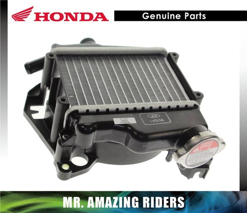 HONDA Genuine OEM 2006 - 2024 RUCKUS 50 NPS50 RADIATOR ASSY 19100-GGA ...
