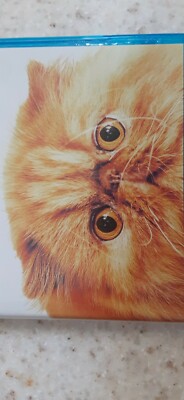 Catwalk: Tales from the Cat Show Circuit (Blu-ray, Documentary, 2018 ...