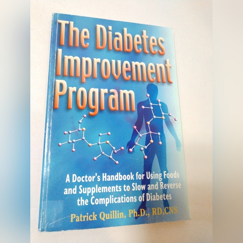 The Diabetes Improvement Program Book Paperback Patrick Quillin | eBay