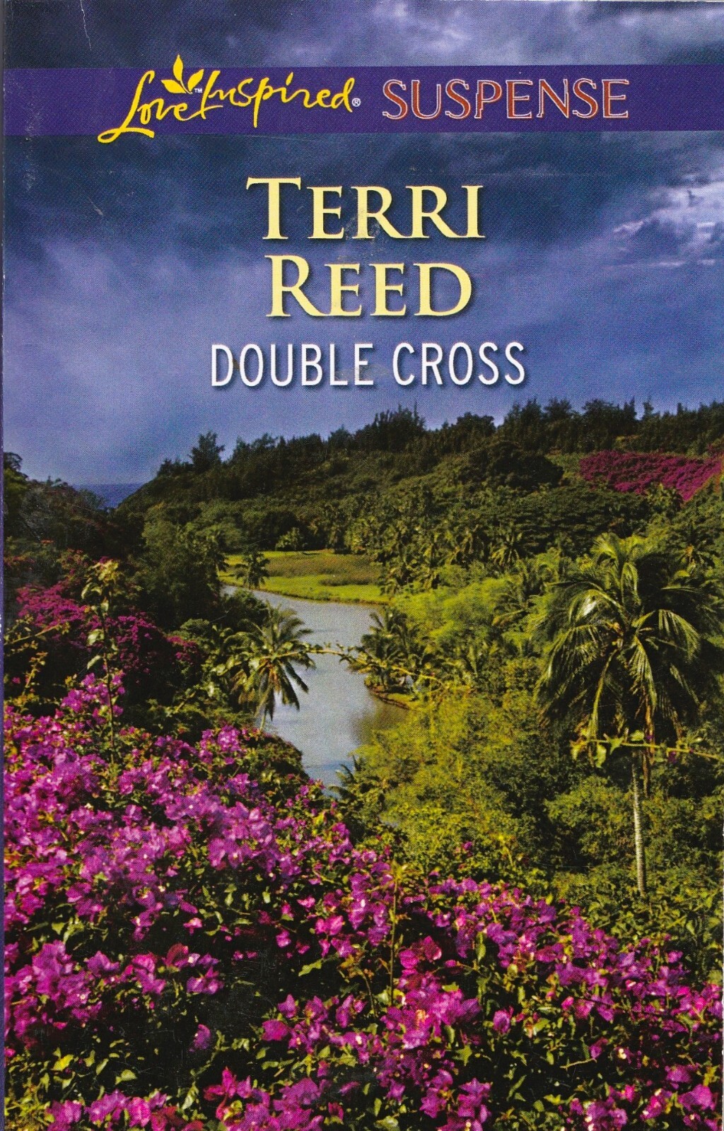 Double Cross, by Terri Reed (Mass Market, Paperback) Harlequin Lover ...