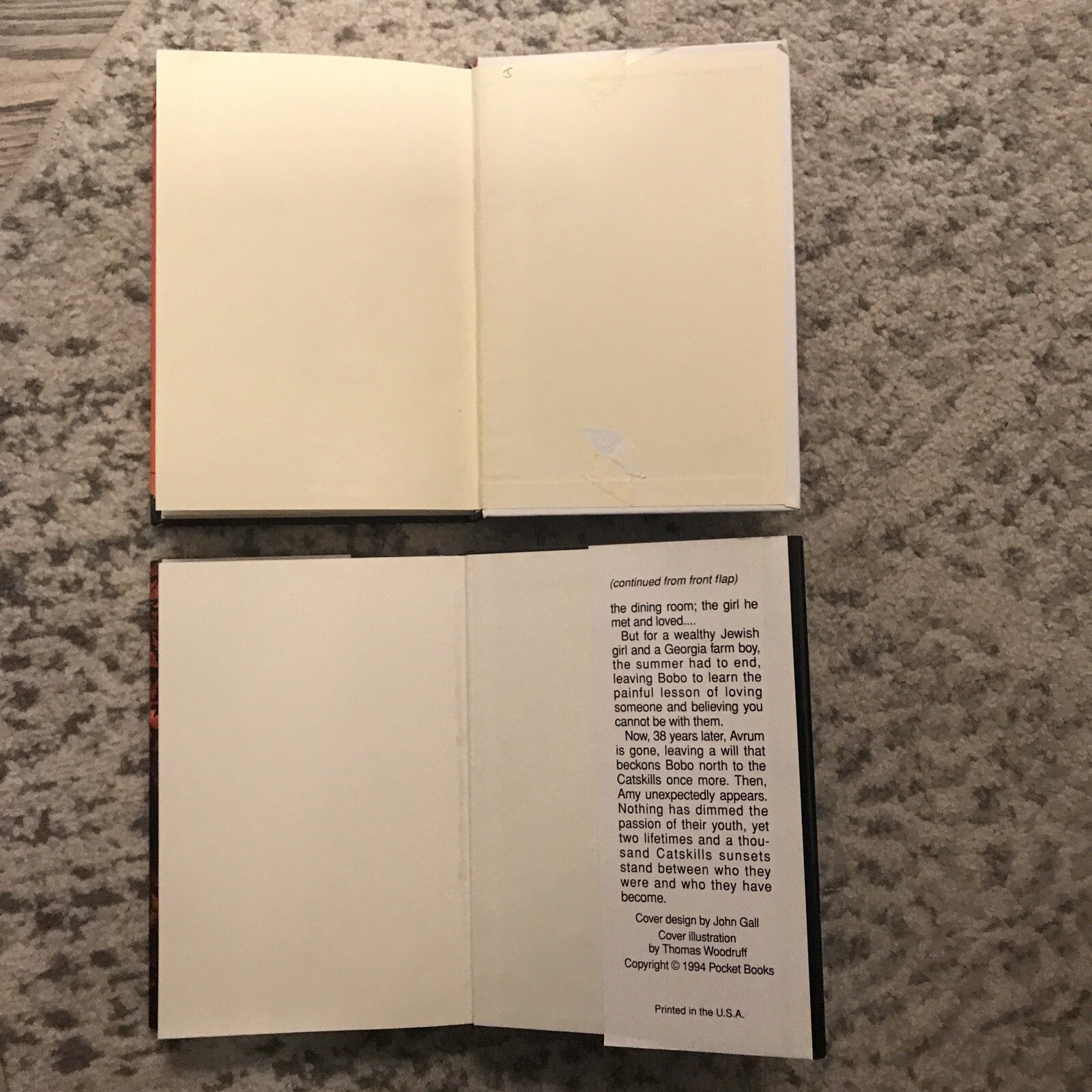 Lot of 2 Terry Kay Large Print Books Shadow Song & The Year The Lights ...