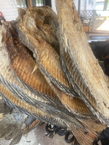Big And Géant Dried Salted Tilapia Fish | eBay