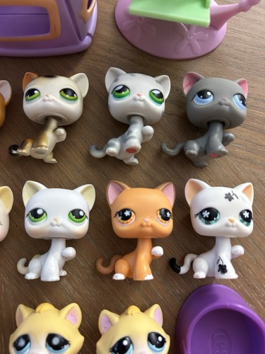 Littlest Pet Shop LPS Kitten Shorthair Cats #11 27 32 74 98 456 539 547 ...