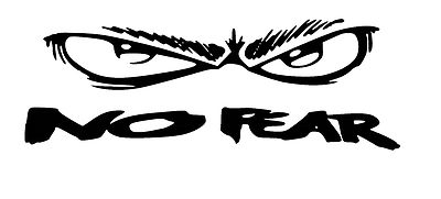 No Fear vinyl car Decal / Sticker | eBay UK