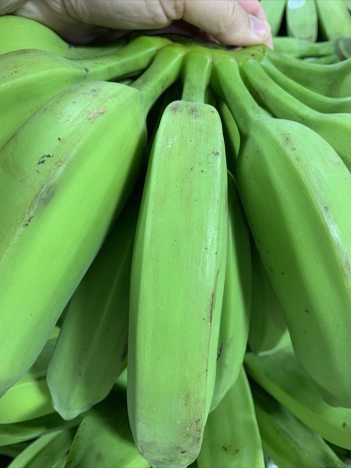 Fresh Platano Burro (5 LBS) The Actual Fruit Plantain Burro | eBay