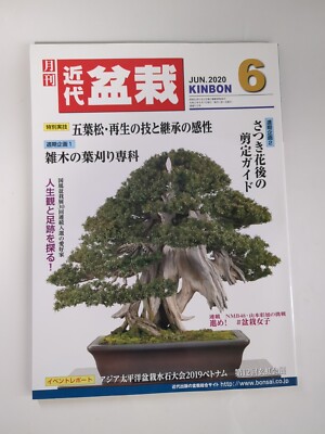 Kinfai Bonsai KINBON Jun 2020 | eBay Australia