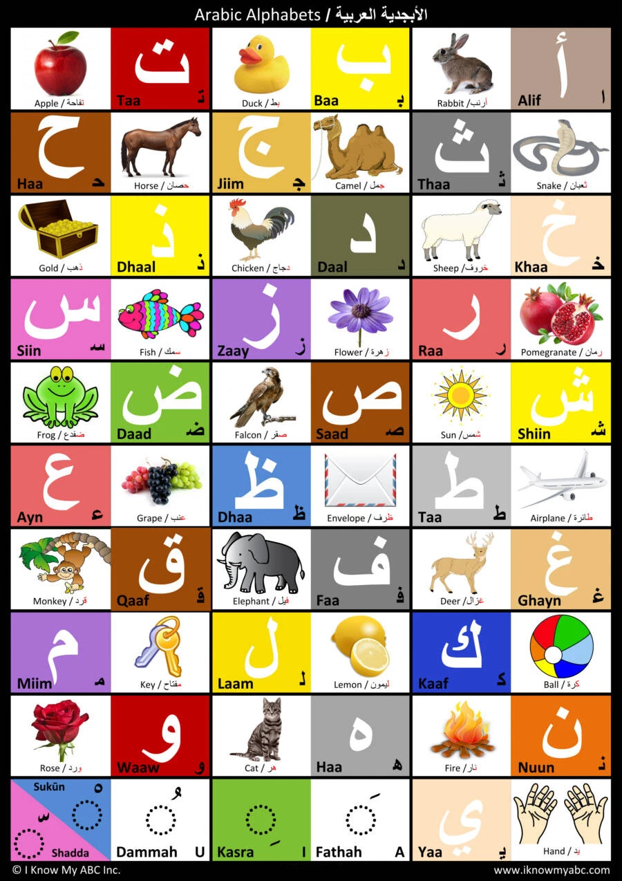 Arabic Alphabet Chart and Poster for Learning Arabic Bahrain | Ubuy