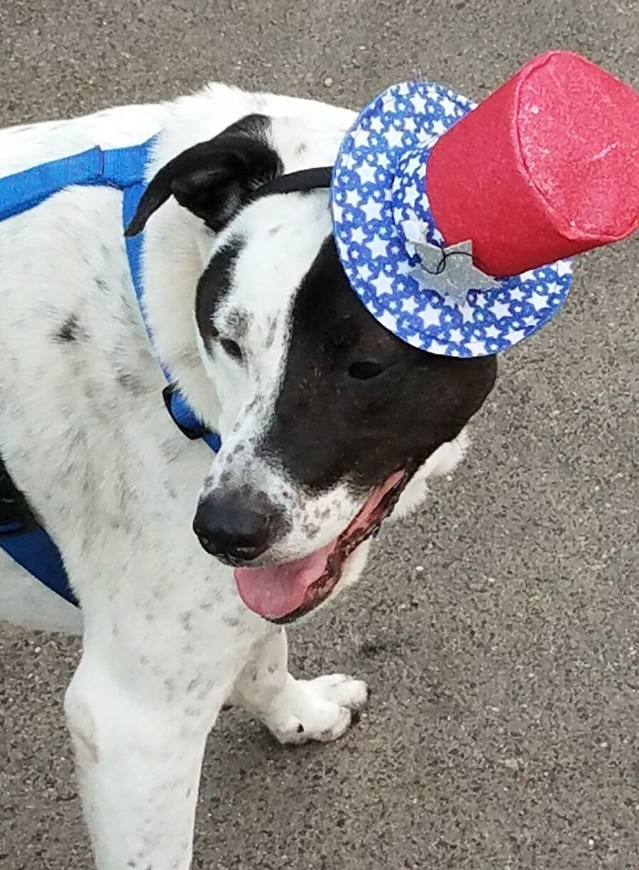 2020 NEW Trendy Mens/Womens Watch LED Digital Display Quartz Watch BLUE ...