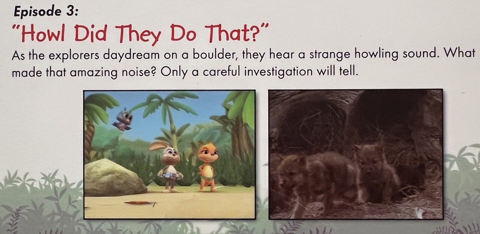 Wild Animal Baby A Tall Tail & Other Stories (DVD) Skip the Rabbit ...