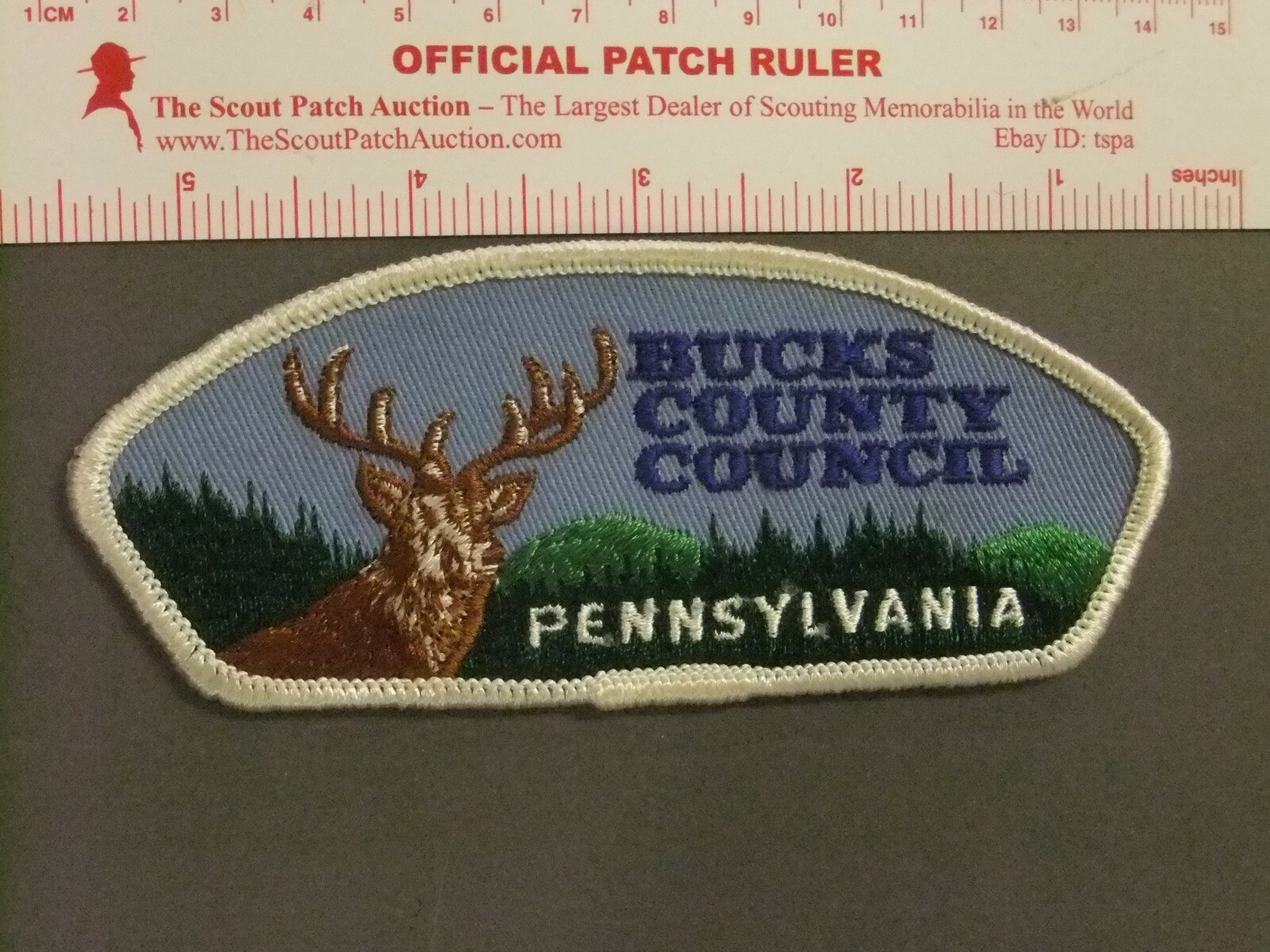 Boy Scout Bucks County T-1 CSP 7644EE | eBay