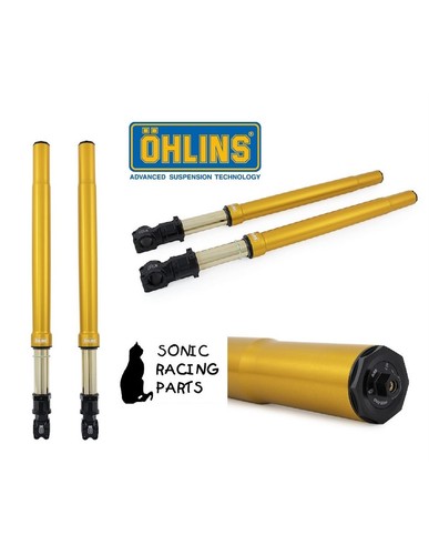 FF 520 OHLINS FOURCHE OR COMPLETE 43 CUSTOM | eBay