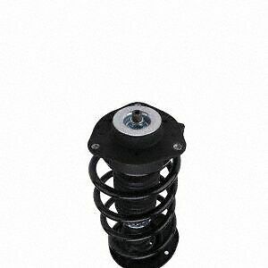 PRT 815219 Shocks and Struts - Suspension Strut and Coil Spring ...