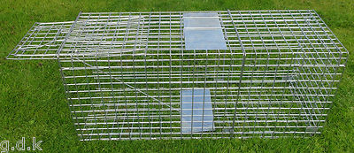 LARGE FOLDING FOX TRAP, HUMANE FOX TRAP, 44."INCH LARGE FOX TRAP, PEST ...