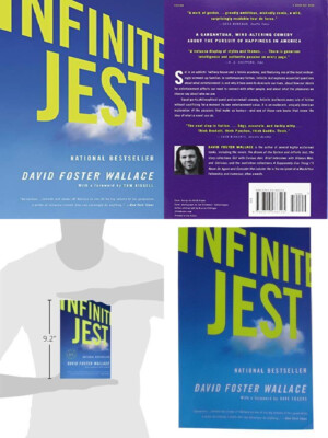 Infinite Jest Paperback – November 13, 2006 9780316066525| eBay