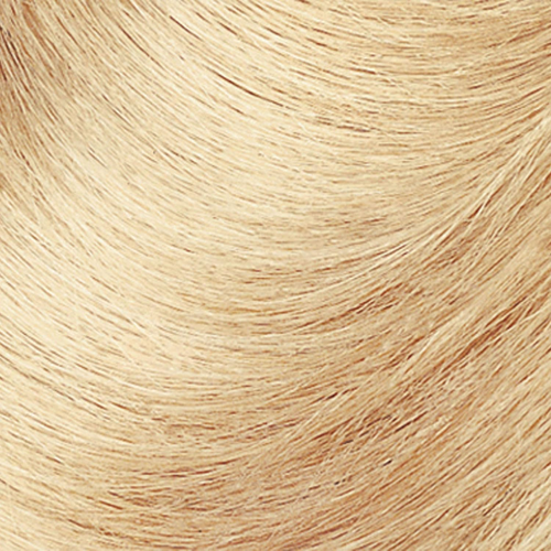 Clairol Balsam Hair Color 600 Palest Blonde 1 Kit (pack of 3) for sale ...