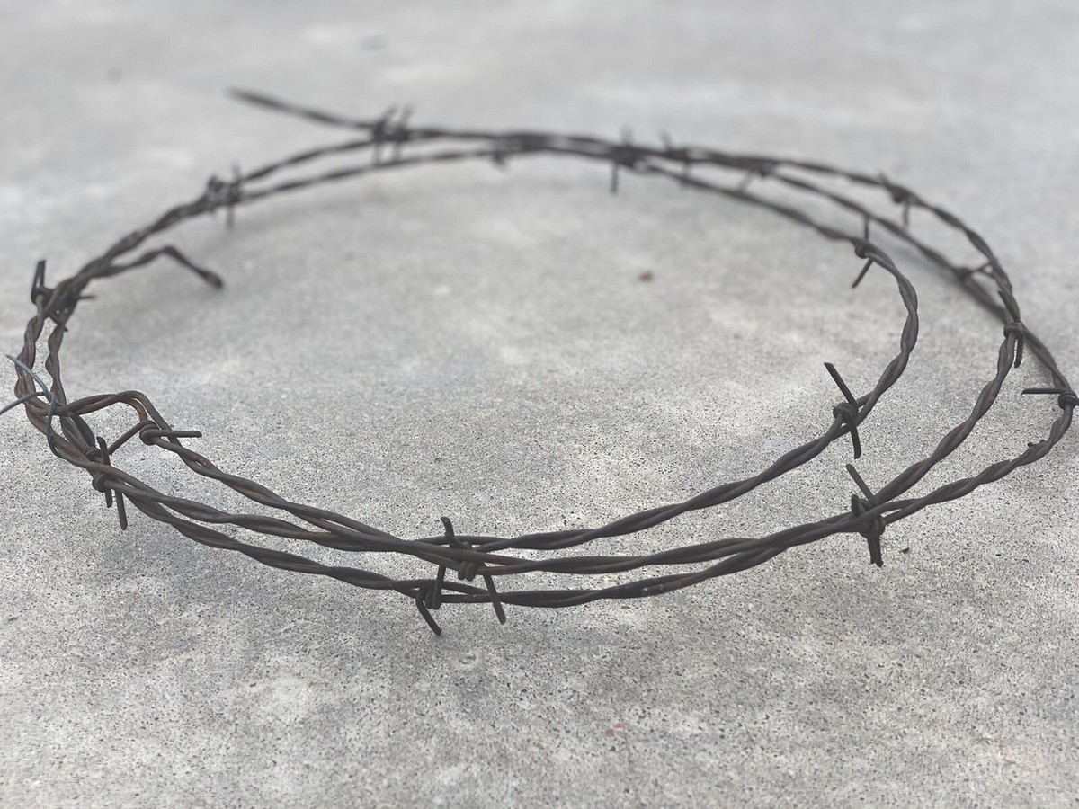 Barbed Wire Art Craft Projects