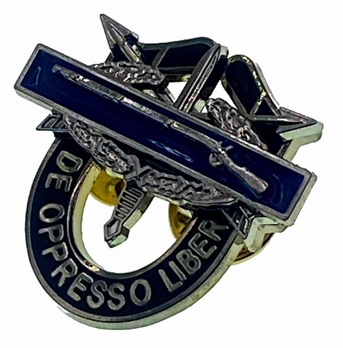 Special Forces Combat Infantry Badge DI Pin Army Airborne SFG CIB ...