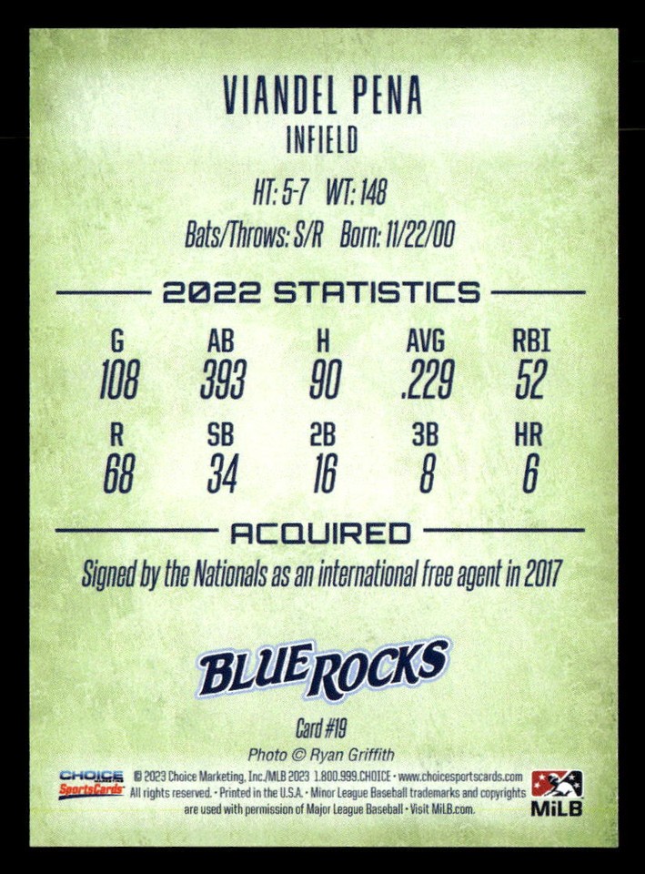 Viandel Pena 2023 Choice Wilmington Blue Rocks #19 Wilmington Blue ...
