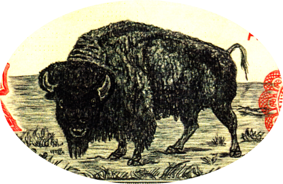 TIM PRUSMACK ART NOTE $10 'BISON' PCGS 69 SUPERB GEM NEW- STUNNING ART ...