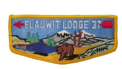 Elauwit Lodge 37 Hudson-Hamilton Council NJ S1 Flap Yellow Bdr (Z571) | eBay