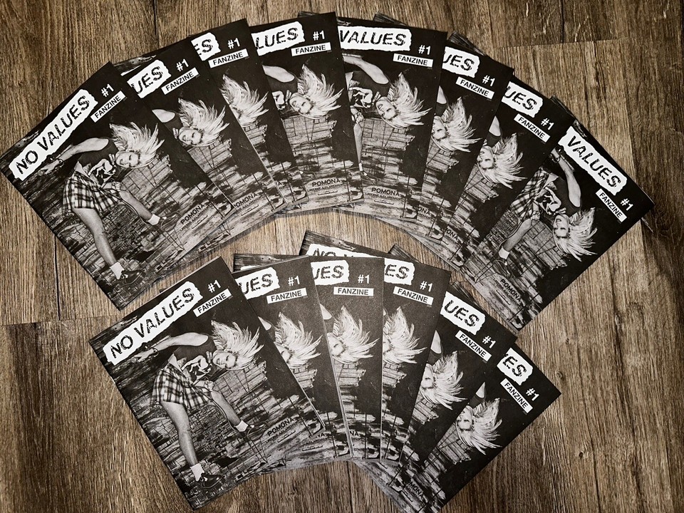 No Values Fanzine #1 2024 MISFITS FEAR BLACK FLAG DAMNED IGGY POP TSOL ...