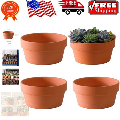 Compact Terracotta 7-Inch Pots for Succulents - Drainage Hole and Mesh ...