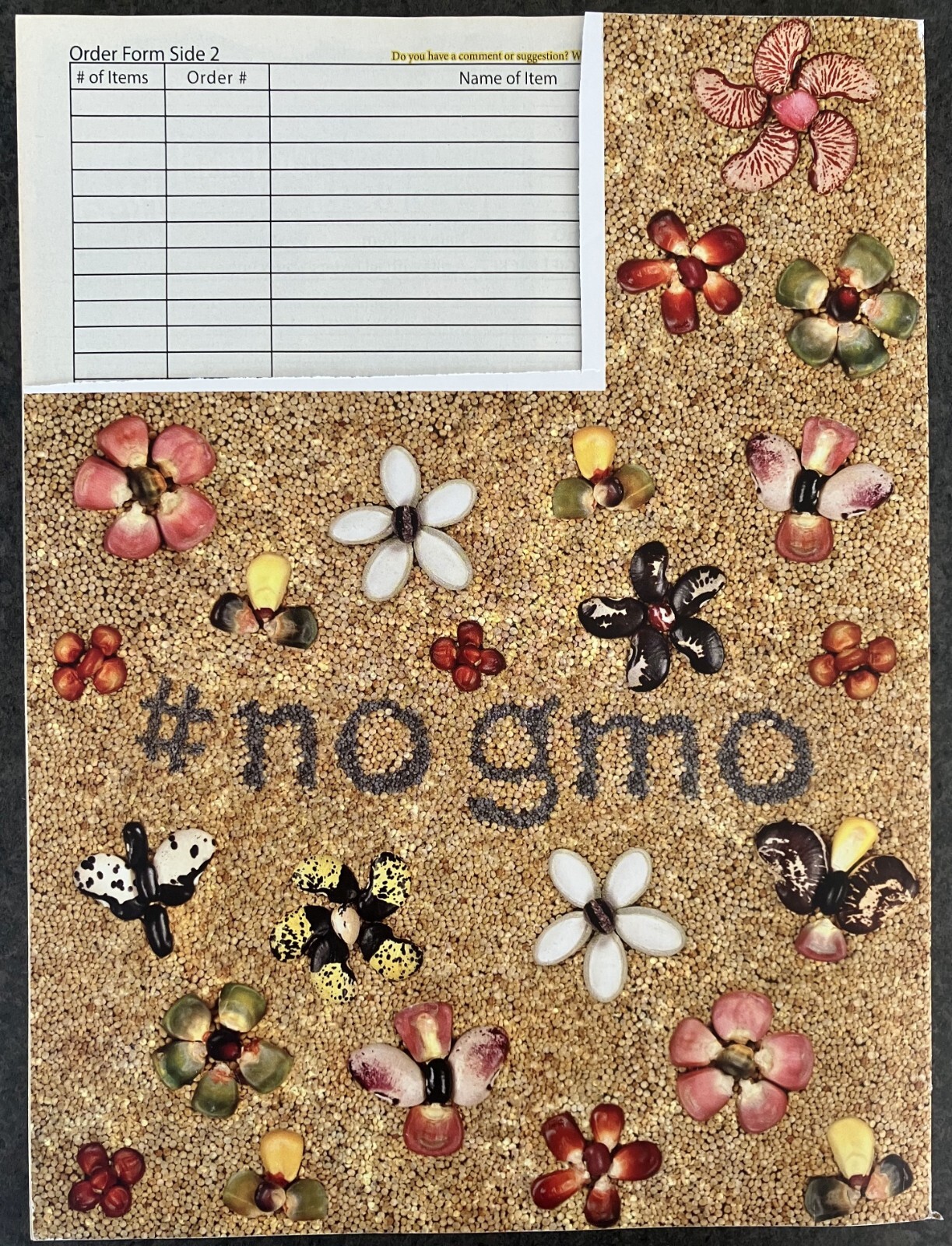 Baker Creek Heirloom Seeds, Rare Seeds 2015 Catalog, Non GMO Seeds | eBay