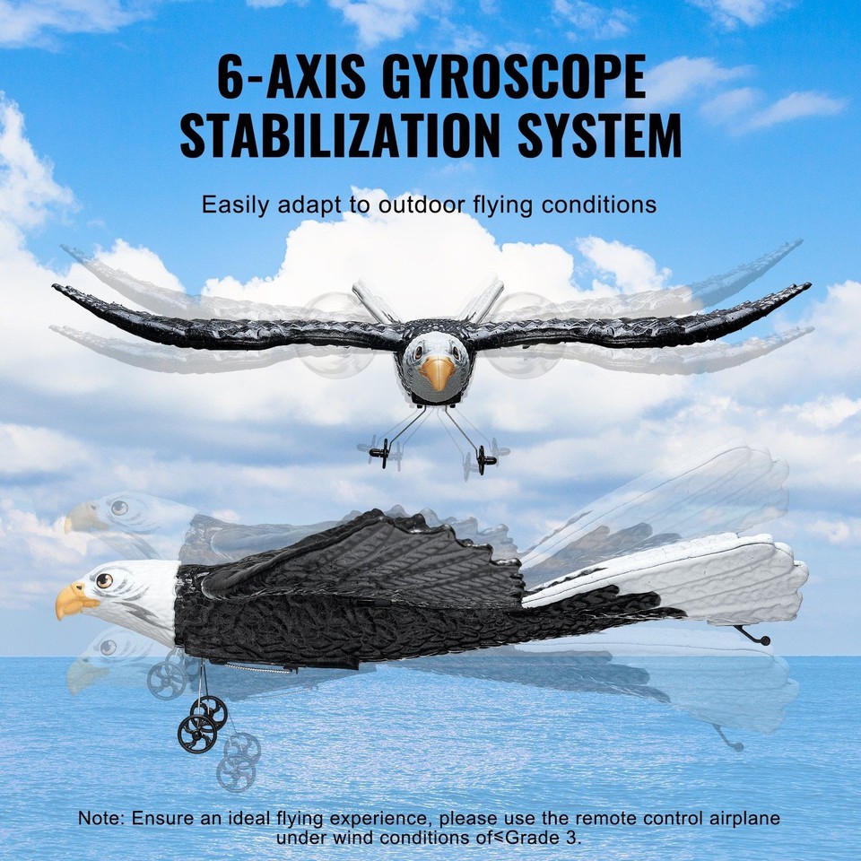 Eagle Simulation RC Airplane EPP Foam 2.4GHz 6-Axis Gyro Remote Control ...